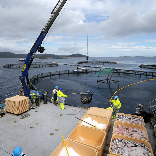 Foldable Knuckle Boom Cranes | PALFINGER MARINE