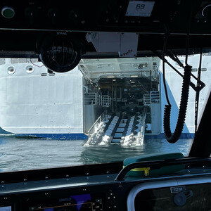 Model PQBS-D-P | PALFINGER MARINE